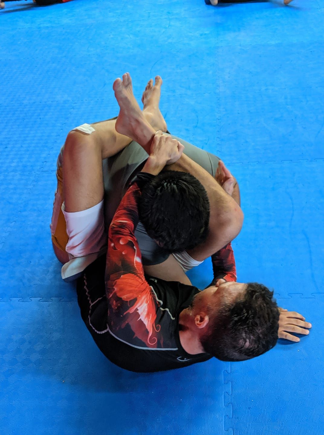 Brazilian Jiu-Jitsu | Sloth BJJ Academy | Euless, TX