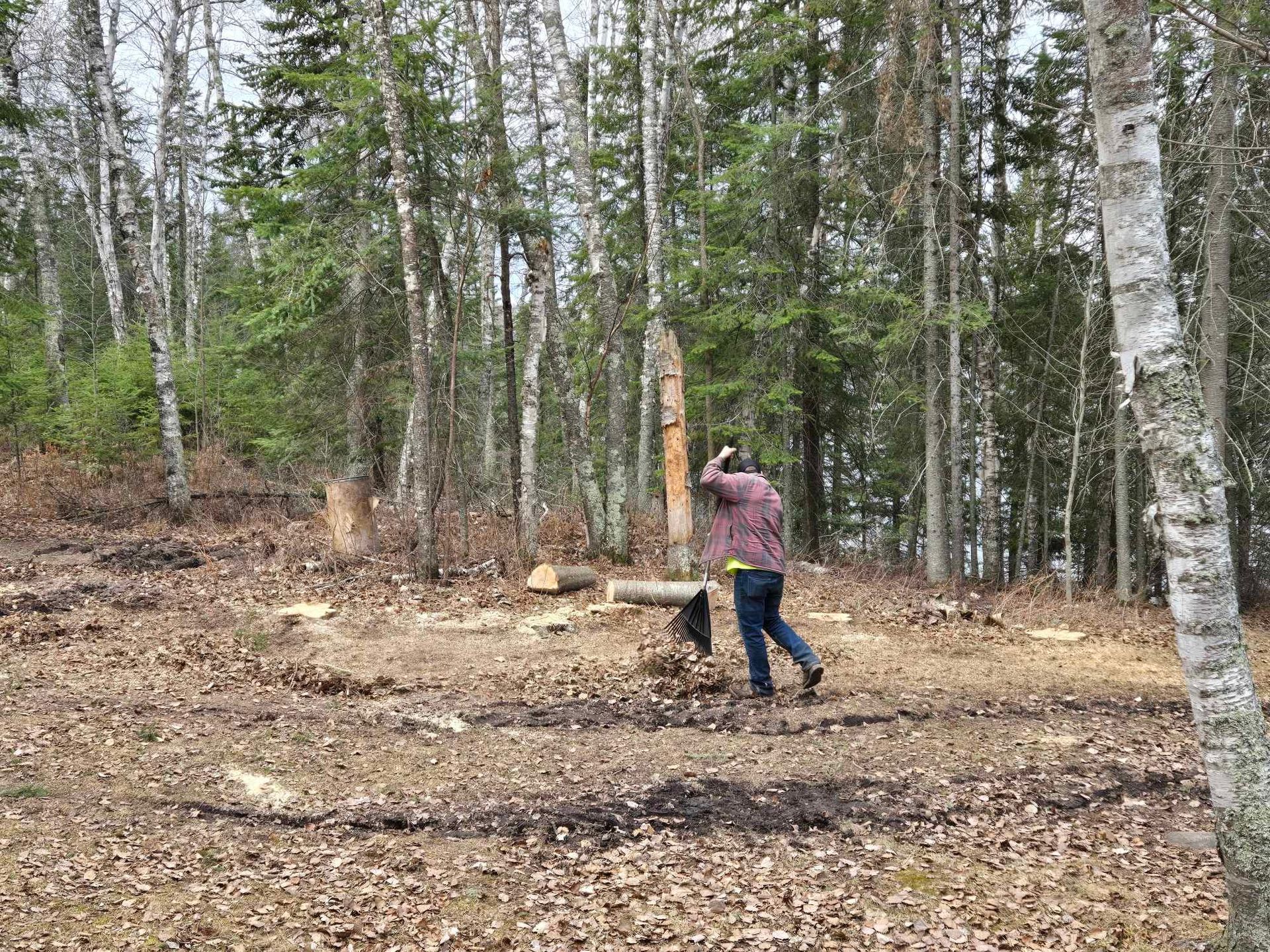 Expert Tree Services | Foth's Top Notch Tree Service, LLC