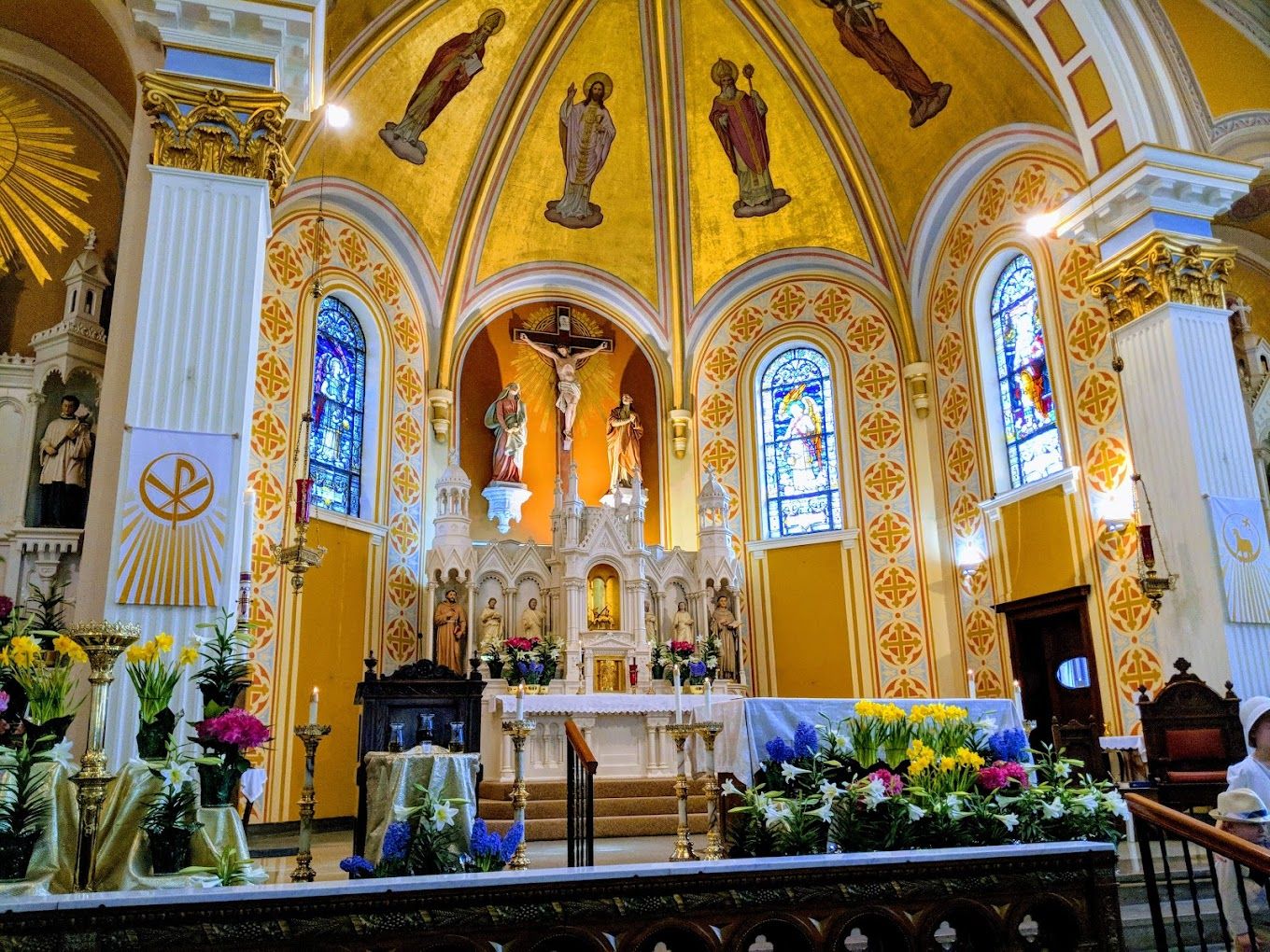 Home [www.stbernard-springfield.org]