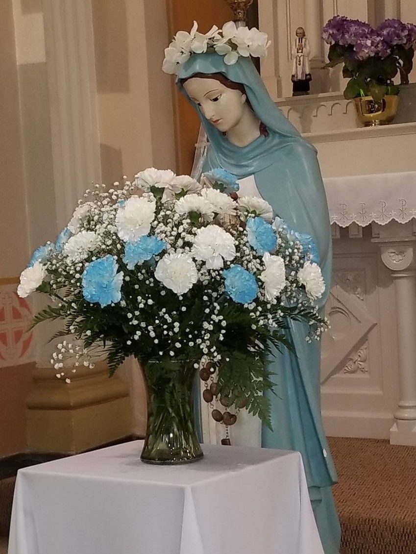 Home [www.stbernard-springfield.org]