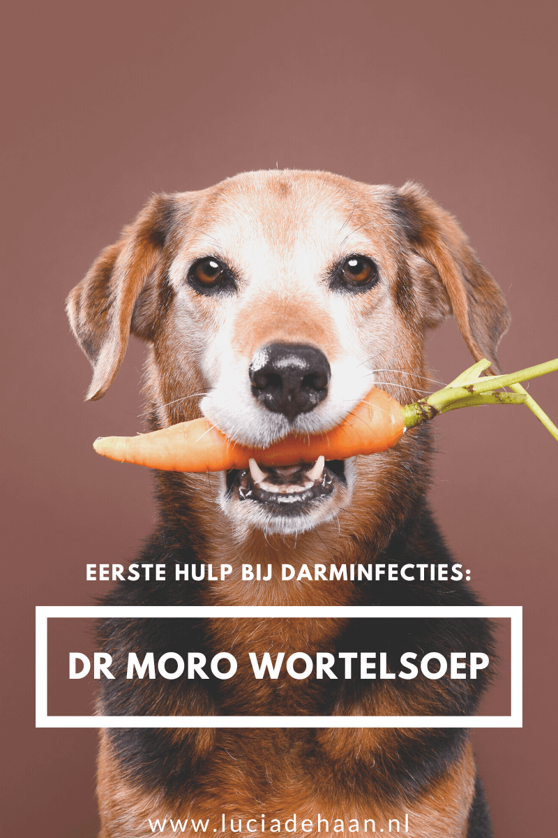 Eerste hulp bij diarree: Dr Moro Wortelsoep