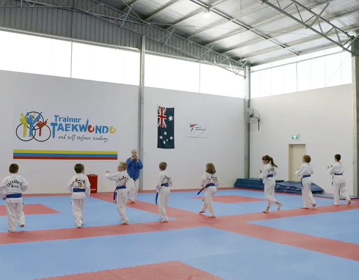 Our Programs | Trainor Taekwondo