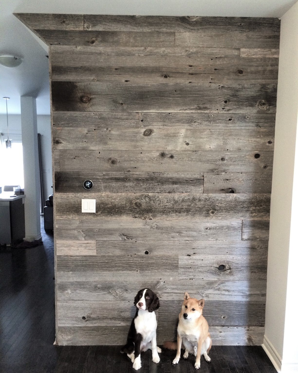 Toronto Feature Wall | Toronto Feature Wall