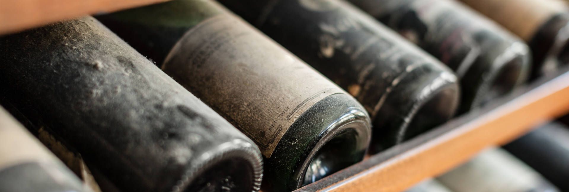 Italian IGP (IGT) wines - Overview of all IGP/IGT wine from Italy