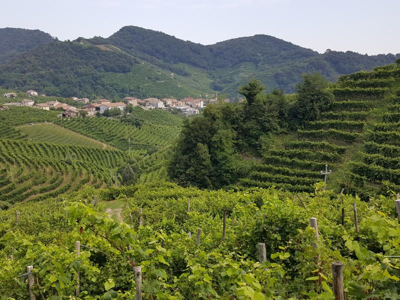 All 358 Italian wine regions - 2026 - All regions for wine tasting in Italy
