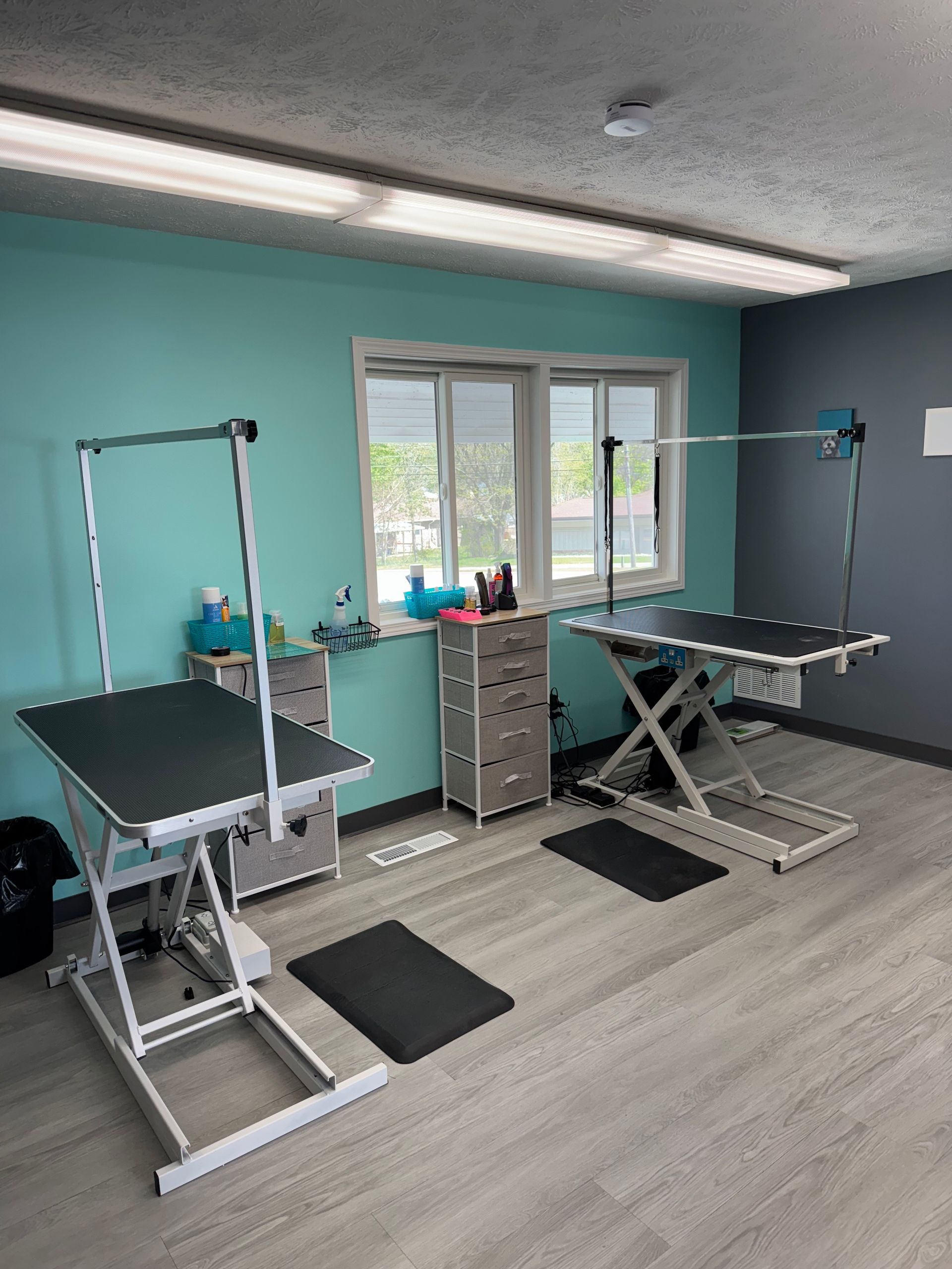 Full-Service Dog Grooming | Topher's Paw Co. | MI