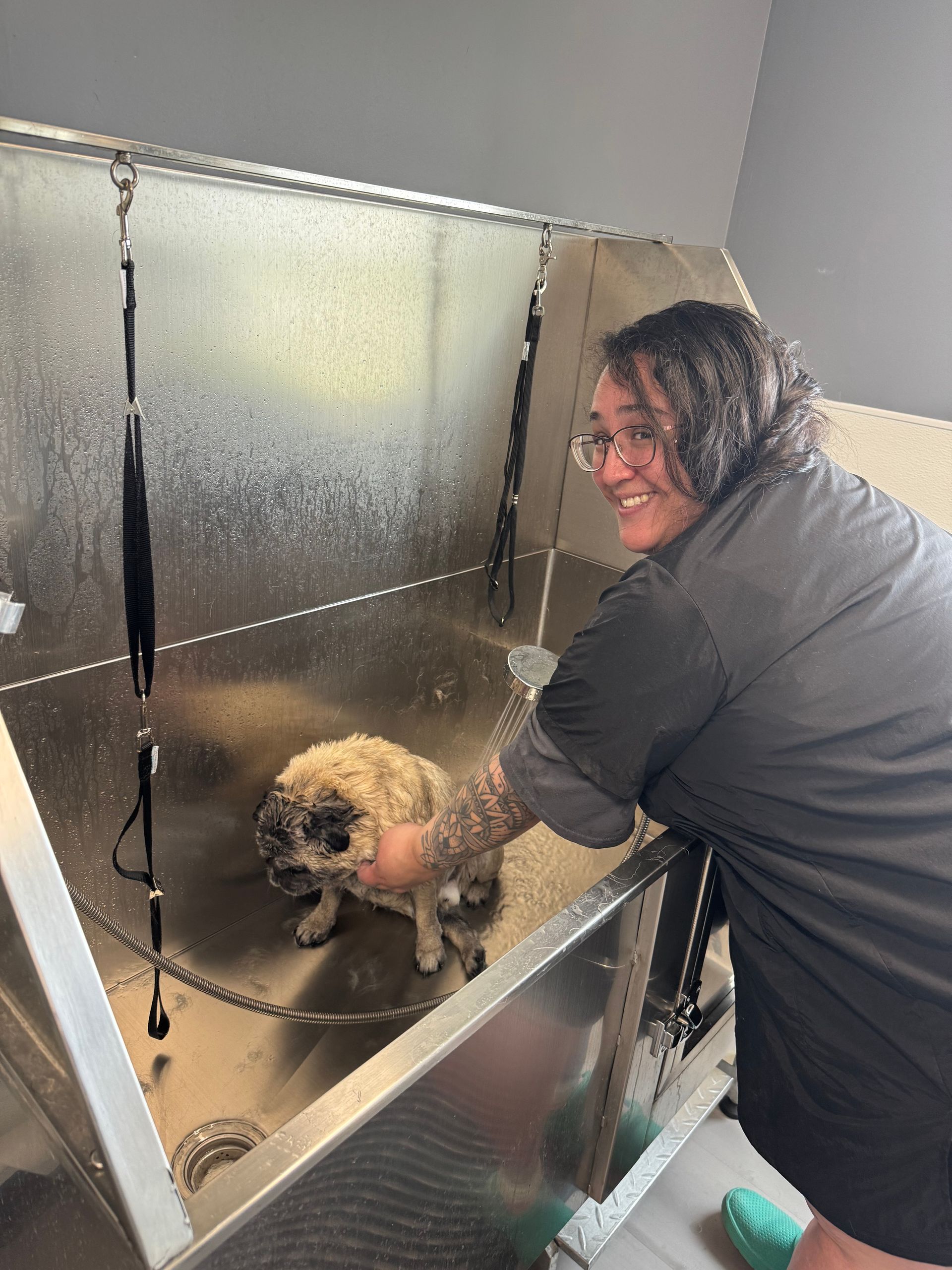 Full-Service Dog Grooming | Topher's Paw Co. | MI