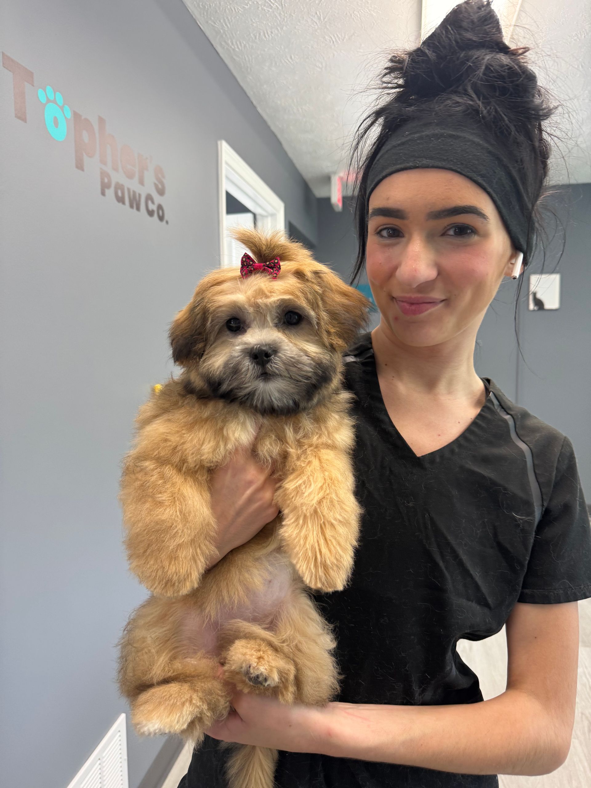 Full-Service Dog Grooming | Topher's Paw Co. | MI