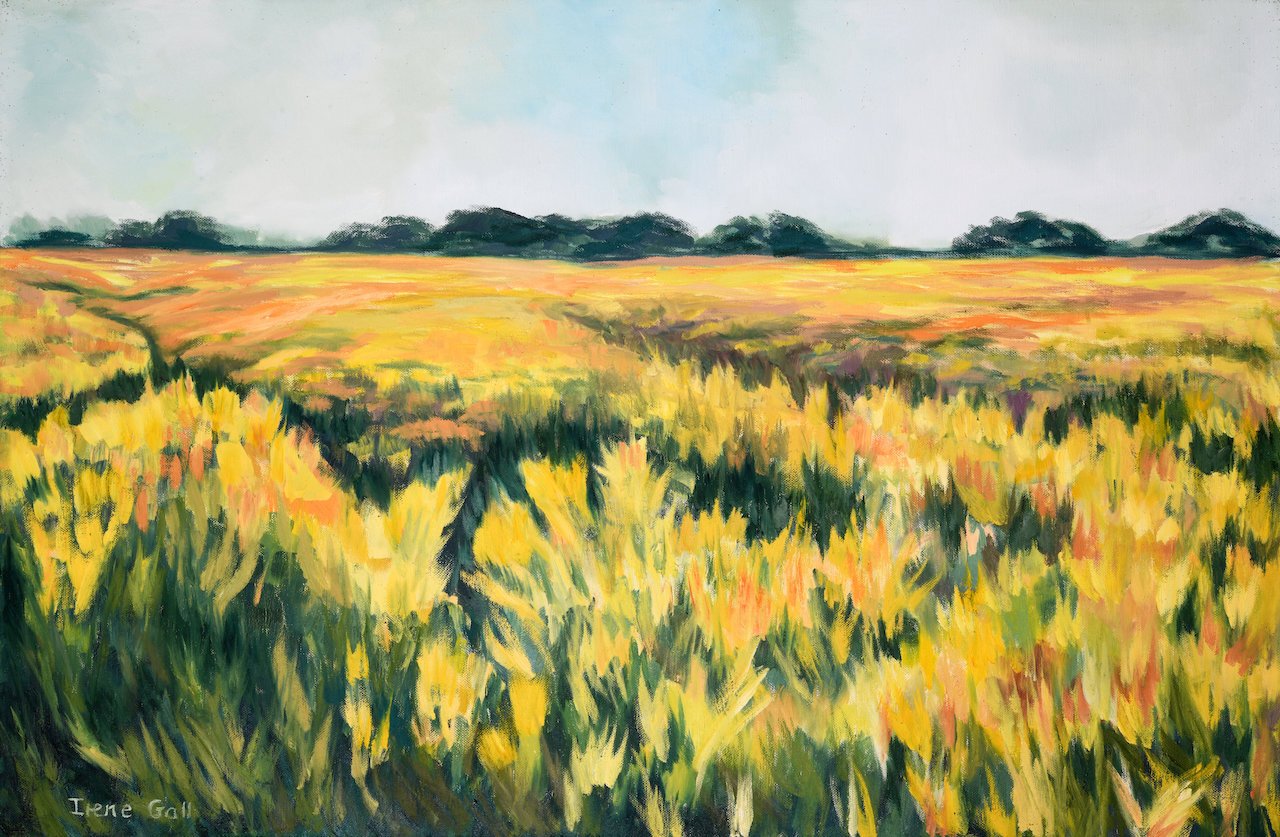 Gallery of work by Dumfries and Galloway Artist Irene Gall