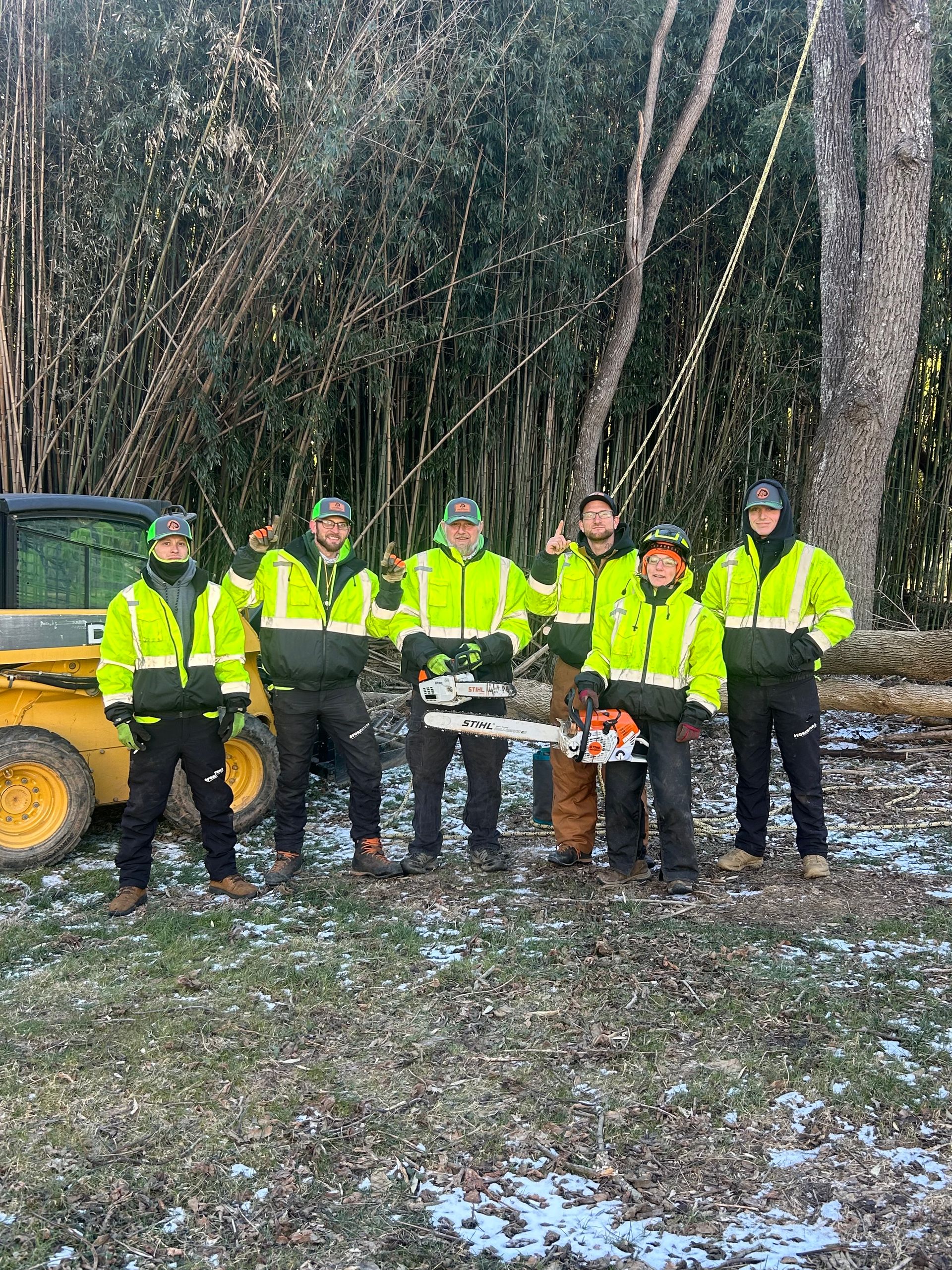 Tree Service & Tree Removal | Asheville, NC | AVL Tree Men