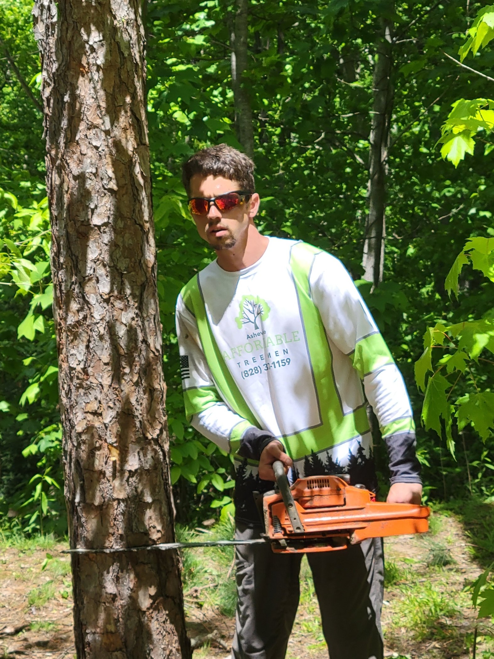 Tree Service Asheville NC | Tree Removal Asheville