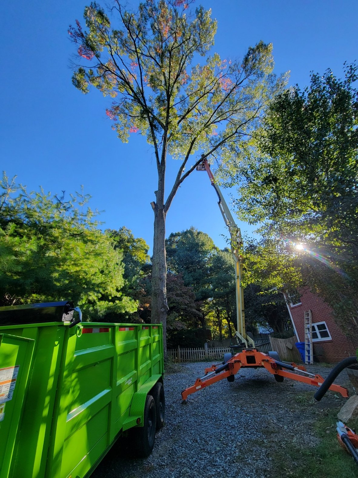 Tree Service & Tree Removal | Asheville, NC | AVL Tree Men
