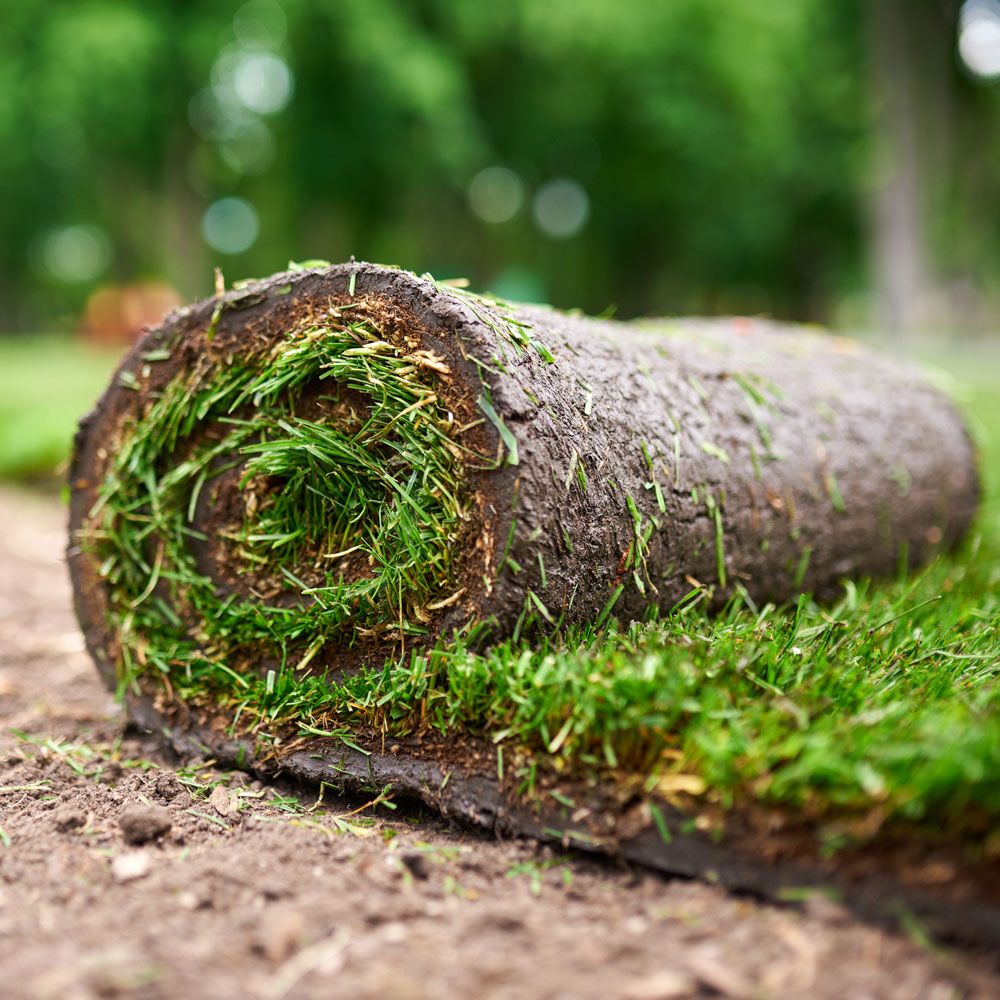 Premier Sod & Turf Installation | Evans City, PA | VicNor