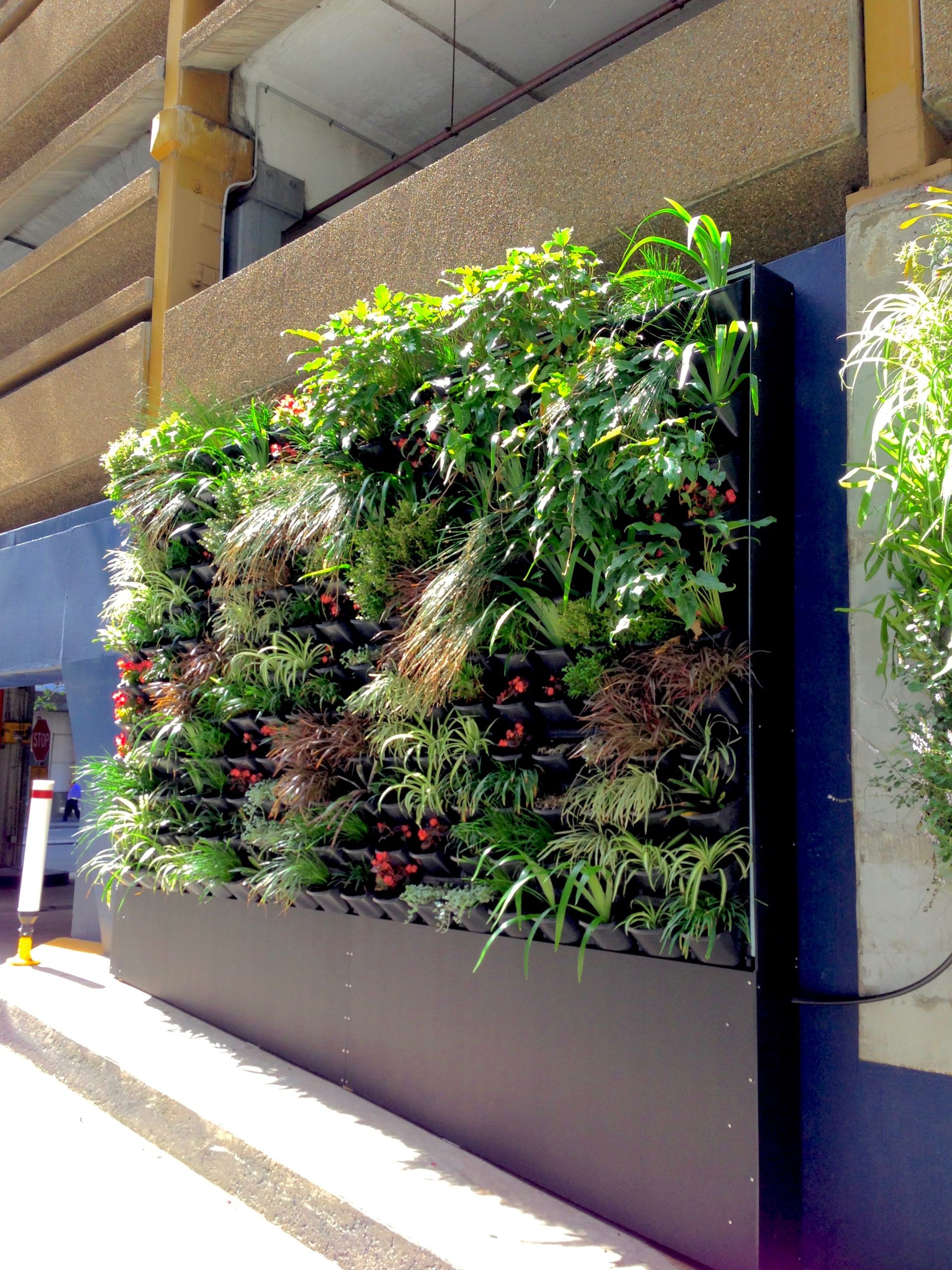 Commercial Vertical Gardens Sydney | Growing Well