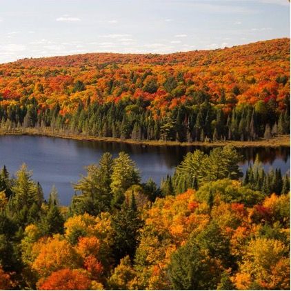 Five Places to Visit Around Ahmic Lake This Summer