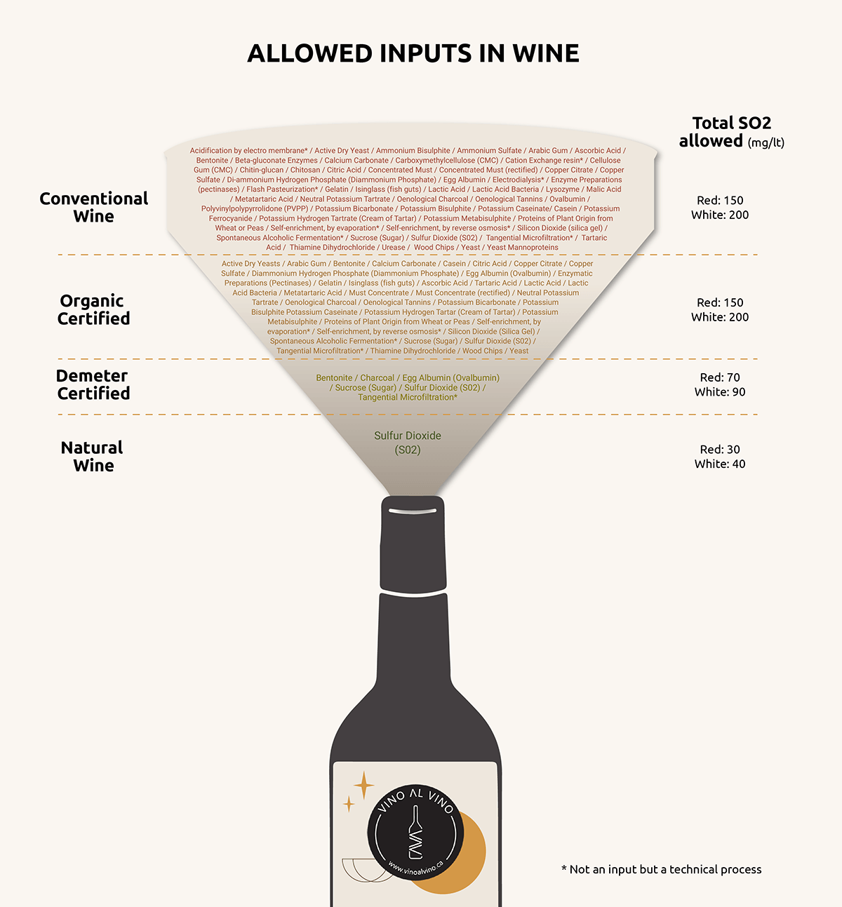 What is Natural Wine | The In-Depth Guide