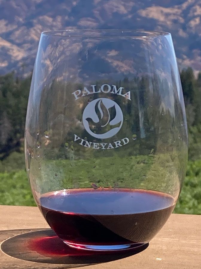 The Story Behind Merlot’s Wine Origin and Its Enduring Legacy