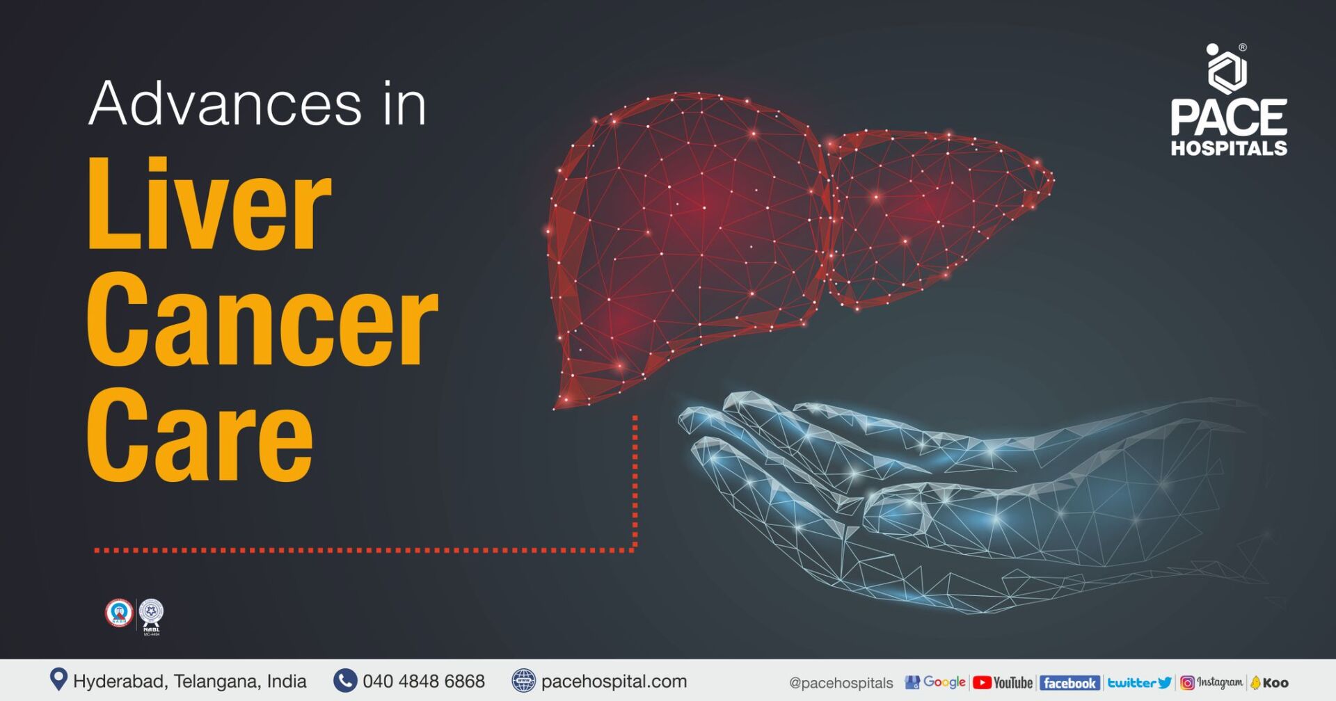 Advances in Liver Cancer Care - Chemotherapy and Liver Transplant