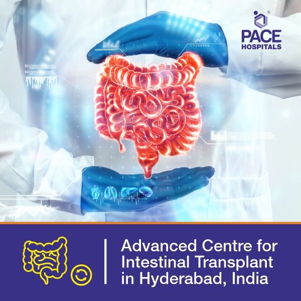 Intestine Transplant in Hyderabad, India | Cost & Success Rate
