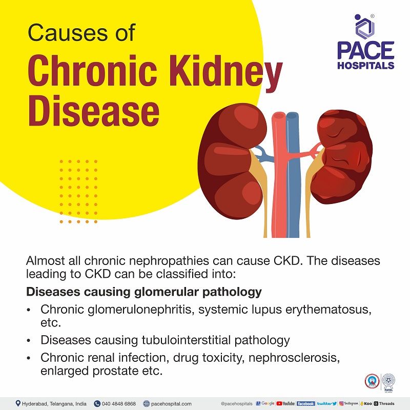 Chronic Kidney Disease - Symptoms, Stages, Causes, Risk Factors