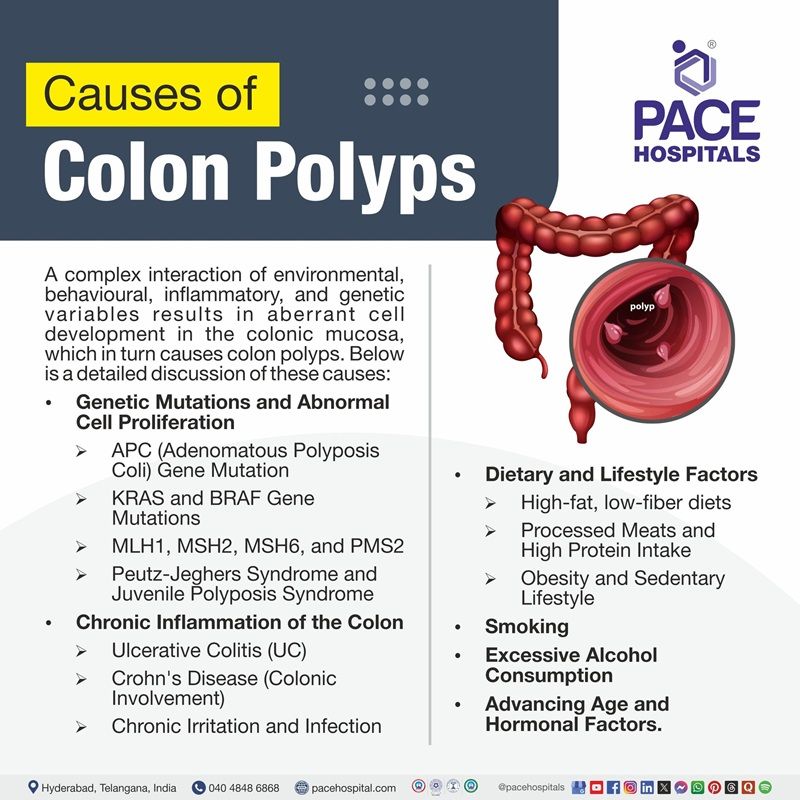 Colon Polyps: Symptoms, Causes, Types, Treatment & Prevention