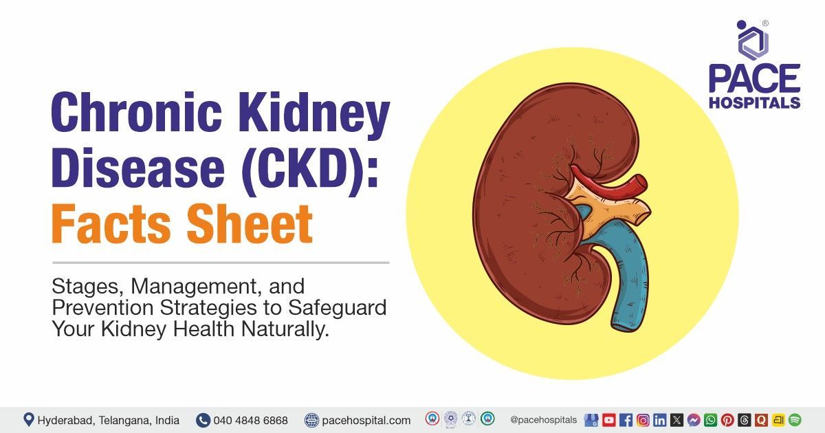 CKD Explained – Facts, Symptoms, Stages, Treatment & Preventions