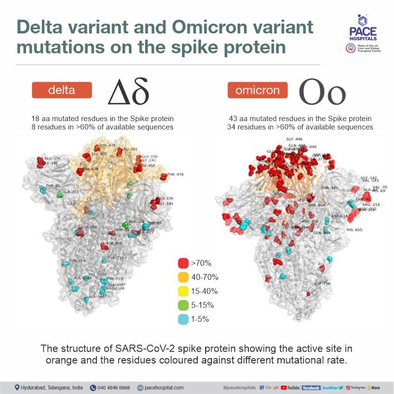 Omicron Variant of COVID 19 - Symptoms, Treatment and Update