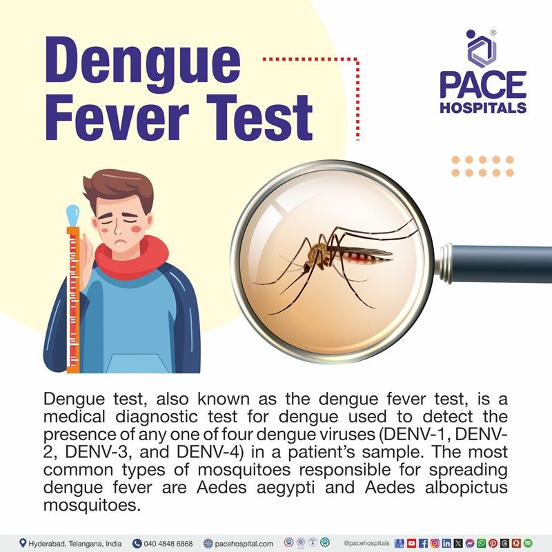Dengue Fever Test in Hyderabad - Types, Indications and Cost