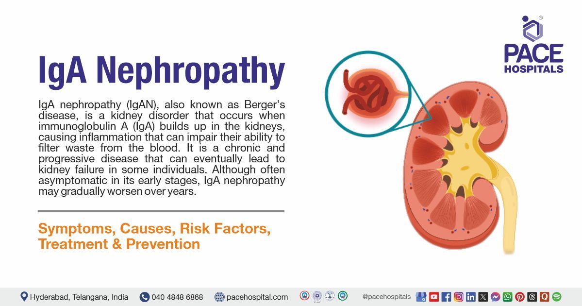 IgA Nephropathy - Symptoms, Causes, Diagnosis & Treatment