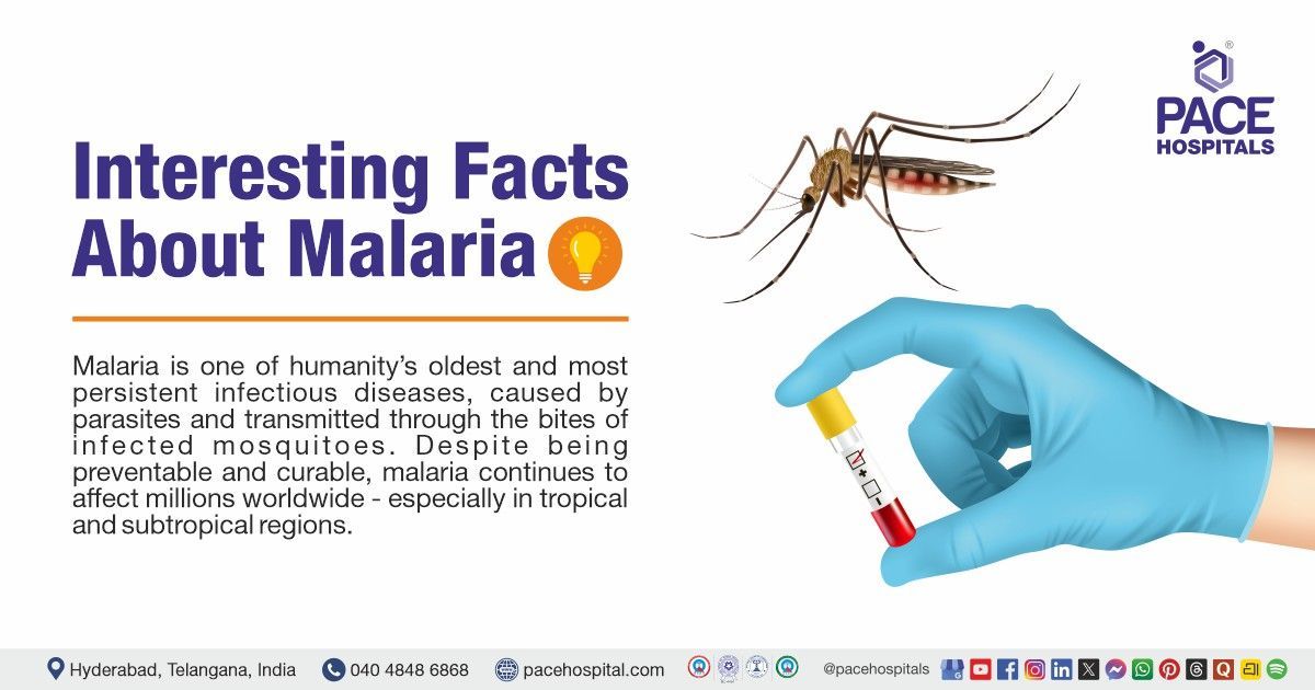Malaria Explained – Surprising Facts, Symptoms & Treatment