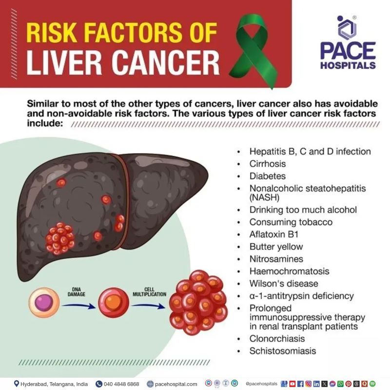 Liver Cancer - Symptoms, Causes, Types, Complications, Prevention