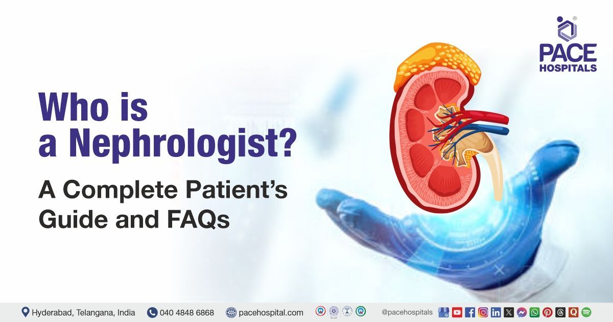 Who Is a Nephrologist & How They Differ from Urologists - FAQs