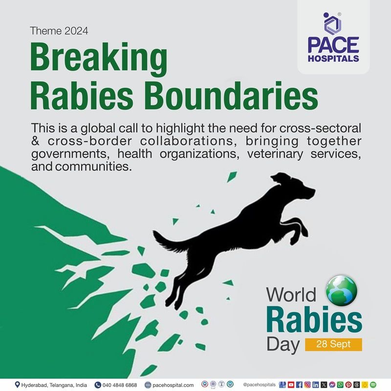 World Rabies Day, 28 September 2024 - Necessity, Theme, First aid