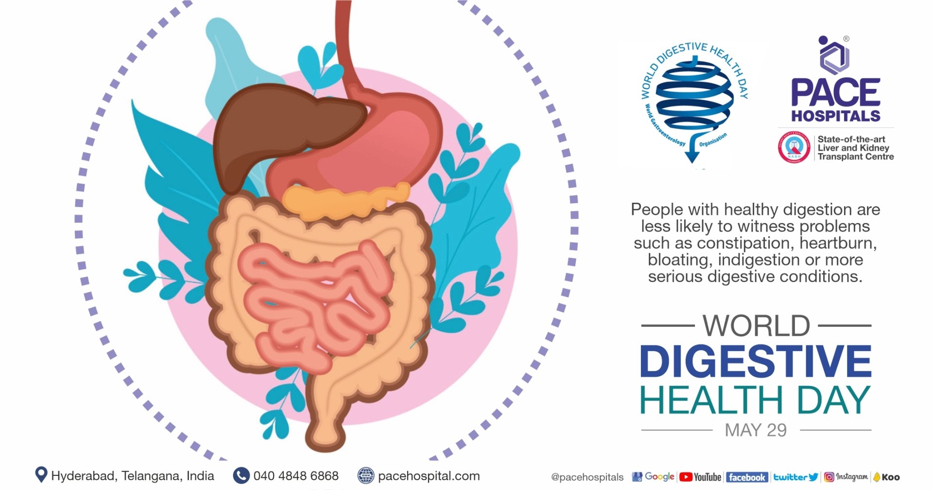 World Digestive Health Day - 29 May, Theme and Importance