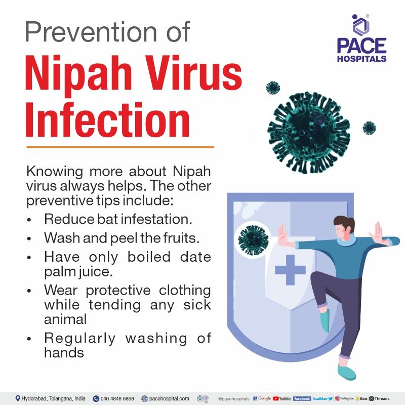Nipah Virus - History, Symptoms, Incubation, Complications