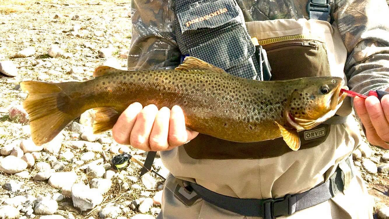 Fly Shop | Lebanon, MO | 417-588-4334