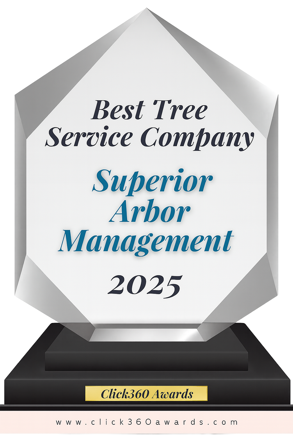 Tree Service | Removal and Pruning | SAM Tree Service of Dawsonville