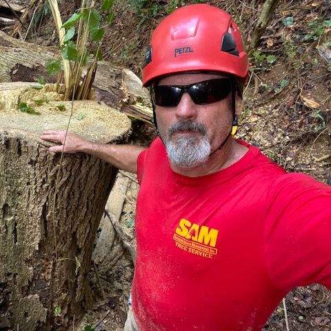 Common Tree Diseases Found in North GA | SAM Tree