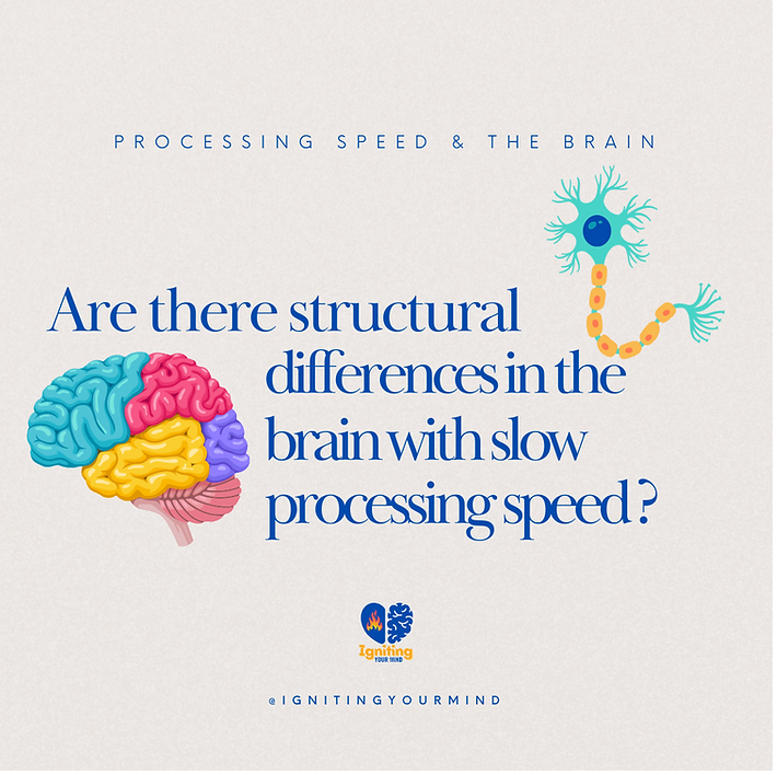 Speed Matters: Understanding The Importance Of Processing Speed