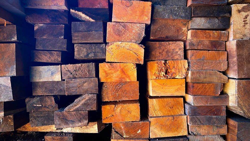 Desventajas de los polines de madera en épocas de lluvia.
