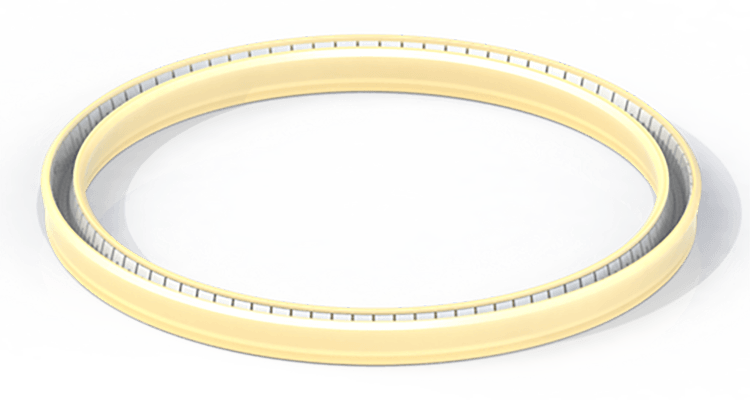 Spring Energized Seals | Products | Eclipse Engineering