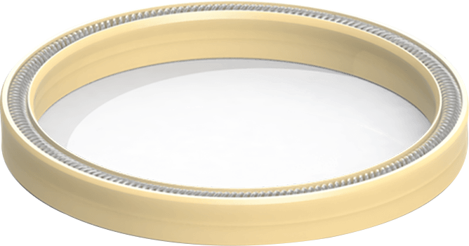 Spring Energized Seals | Products | Eclipse Engineering