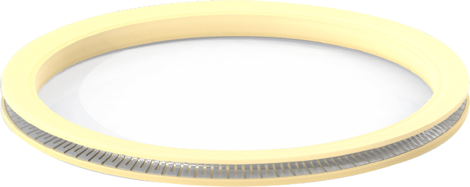 Cased Spring-Energized Seals | Eclipse Engineering
