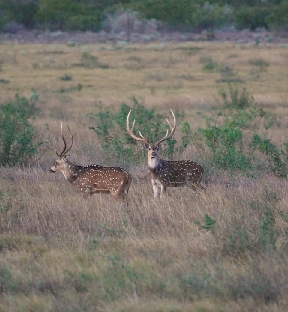 Rustic Falls at Vaughn Ranch | Wedding Venue | Booking
