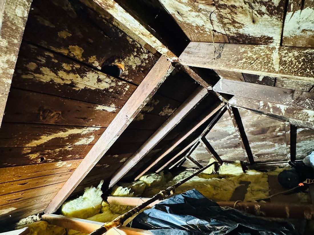 Attic Mold Remediation & Encapsulation in Kings Park, NY - K.O.S.