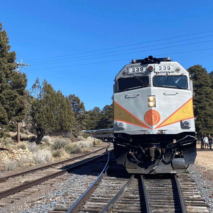 Excite Experiences | Next Generation Bus Tours