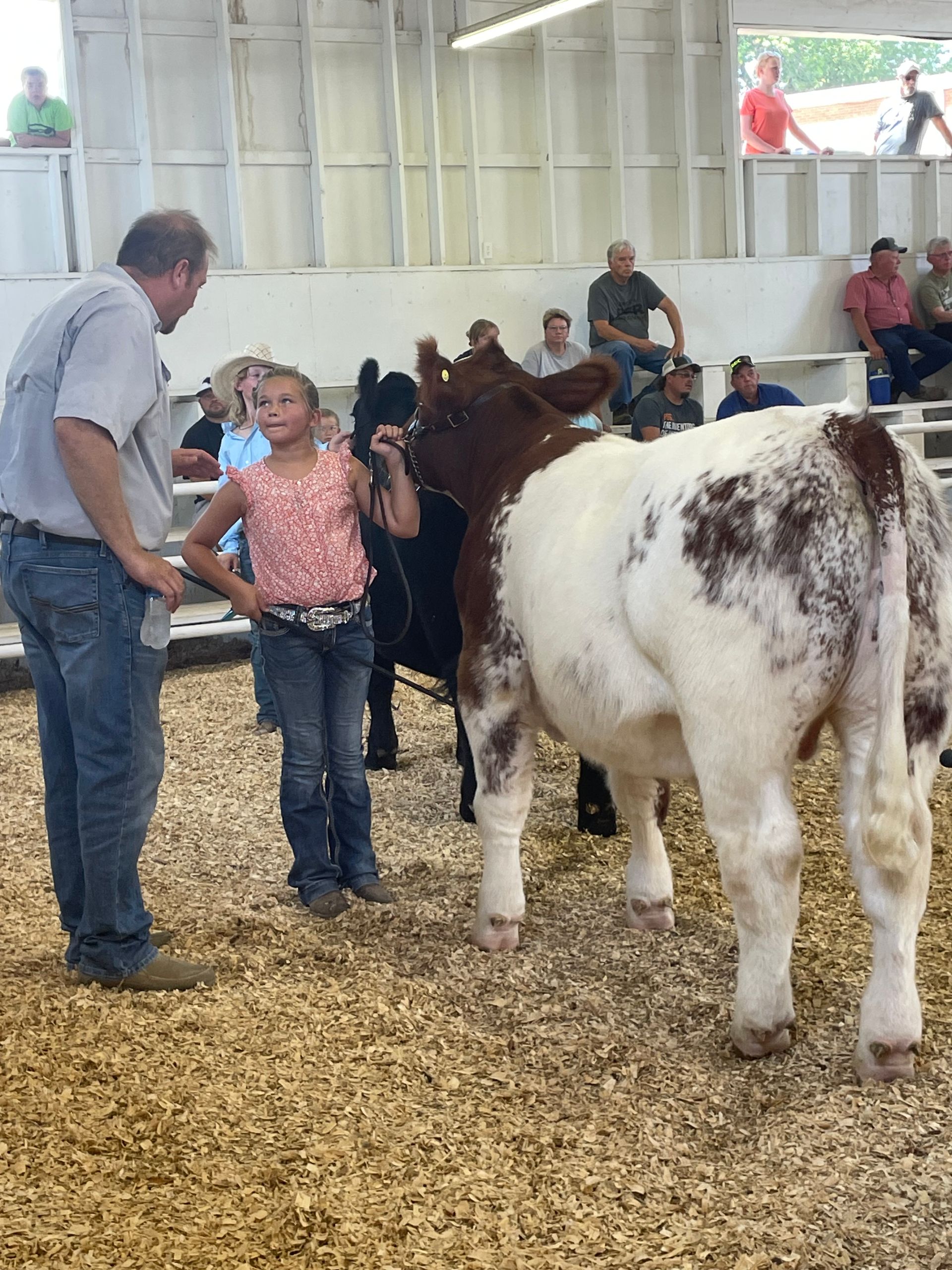 Madison County Fair Association | Highland, IL