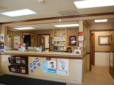 About | Denbigh Animal Hospital | Newport News, VA