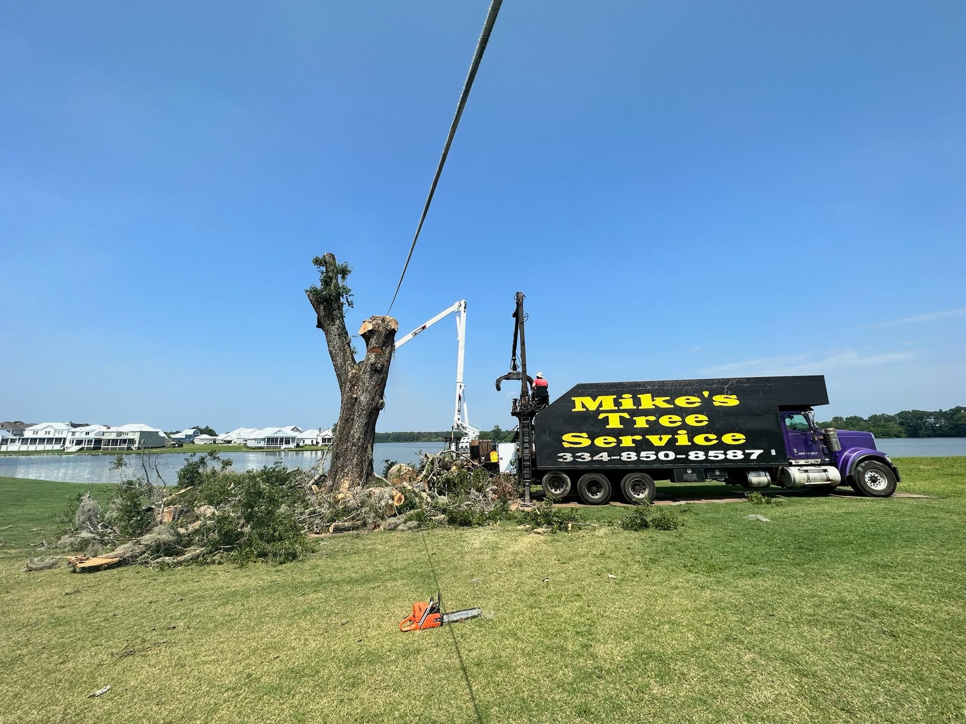 Tree Service – Tallassee, AL – Mike’s Tree Service