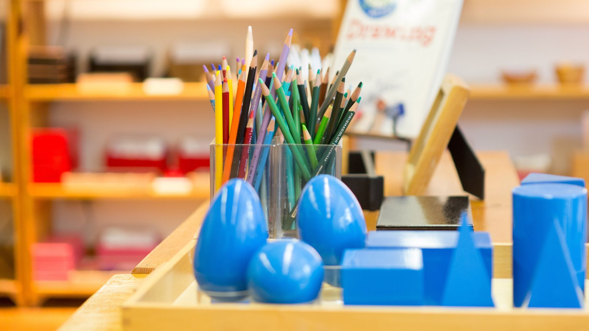 Gallery | Forest Bluff School | Lake Bluff, IL